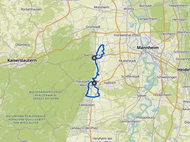 Neustadt - Freinsheim (Süd-Nord-Tour) | Fahrradtour | Komoot